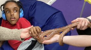 Zoolab Visit – St Giles School